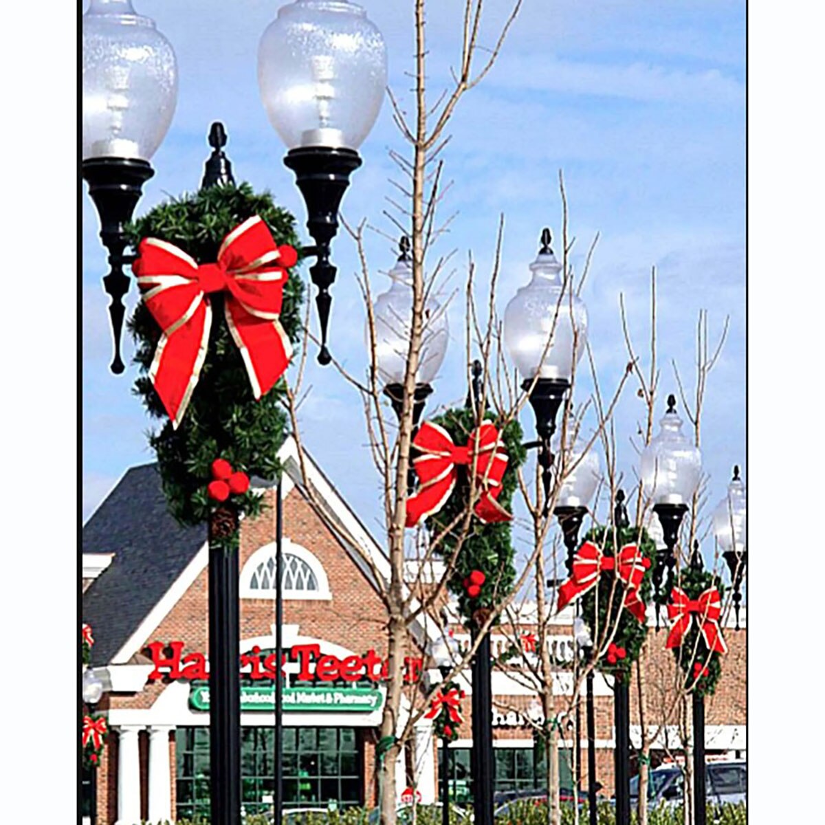 4 Foot Traditional Spray