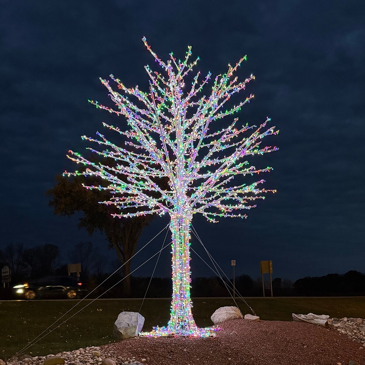 3D Tree Multi Color